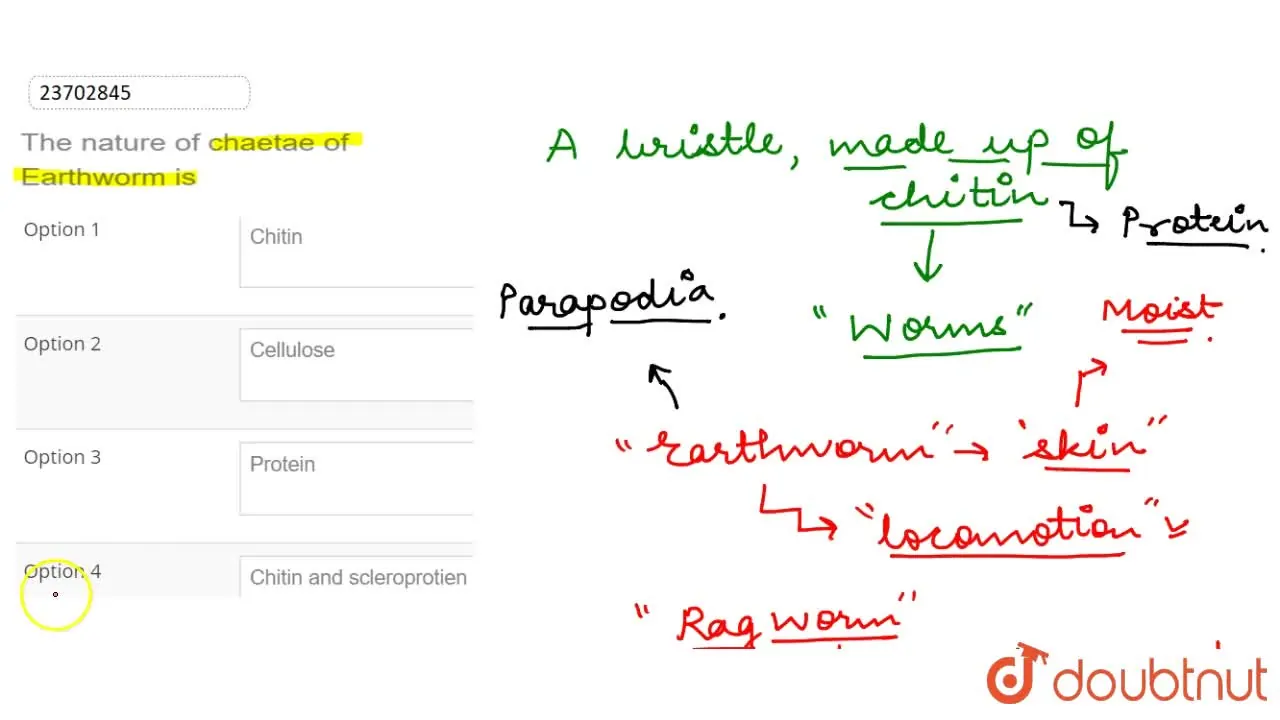 The nature of chaetae of Earthworm is