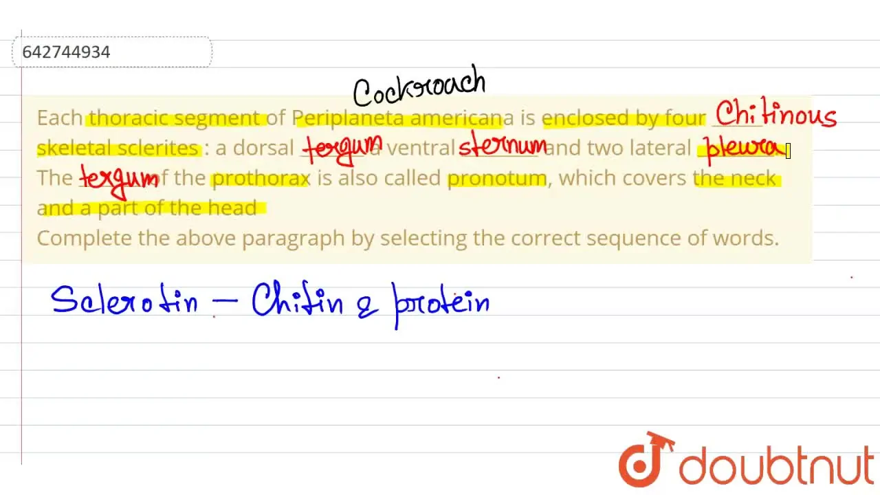 Chitinous, sternum, tergum, pleura, sternum