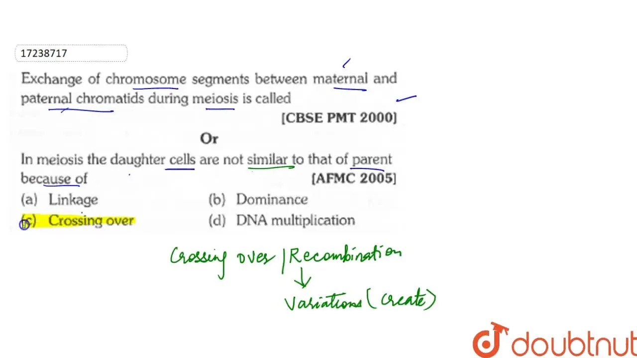 Exchange of chromosome segments between maternal and paternal chromati