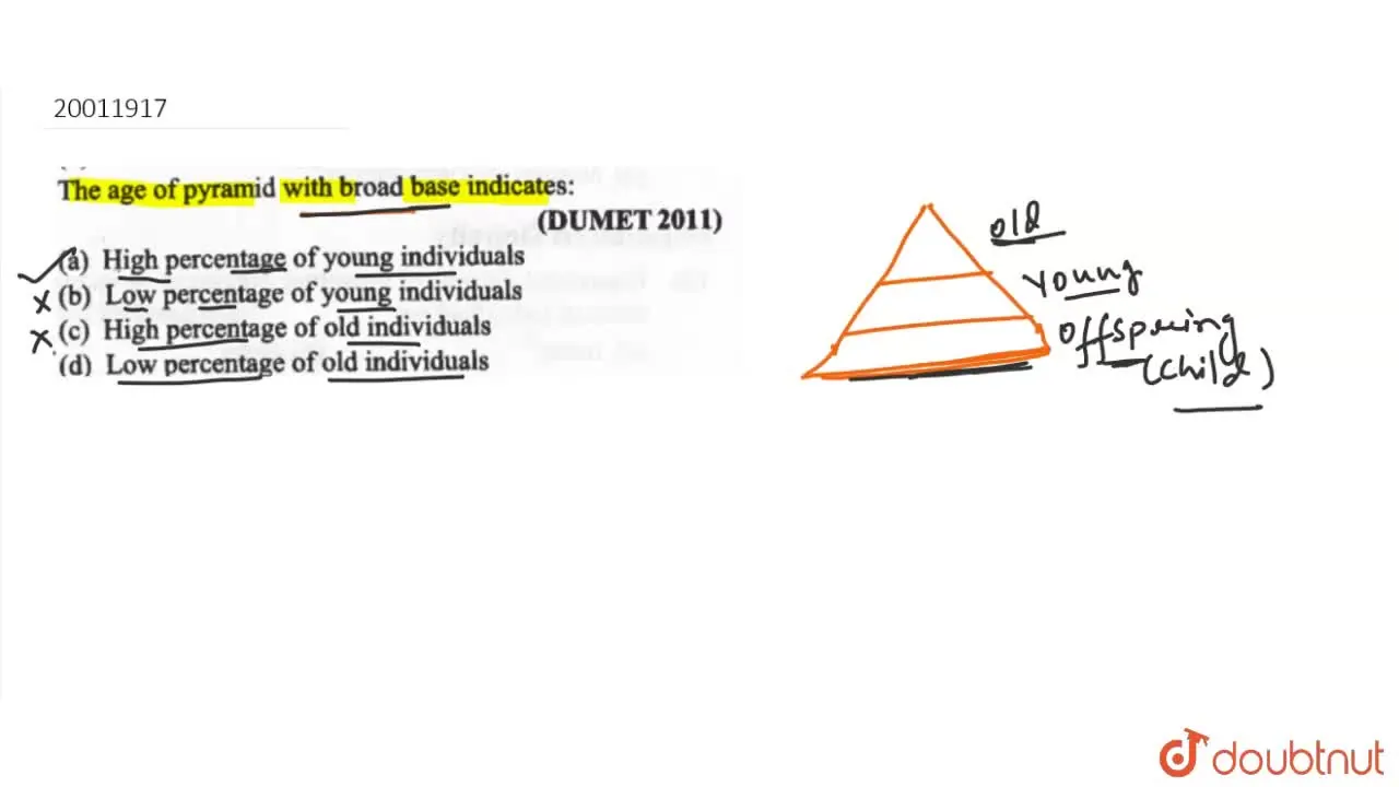 The age of pyramid with broad base indicates