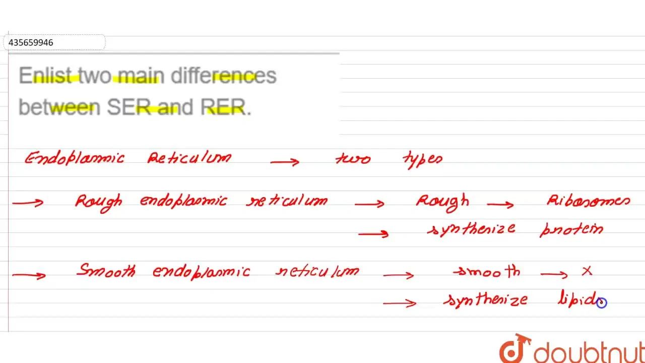 Enlist two main differences between SER and RER.