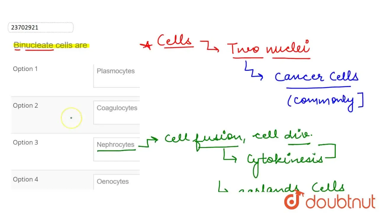 Binucleate cells are