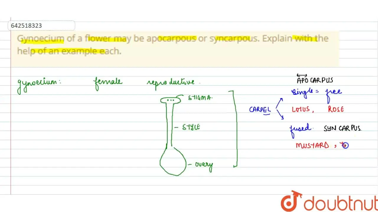 Gynoecium of a flower may be apocarpous or syncarpous. Explain with th