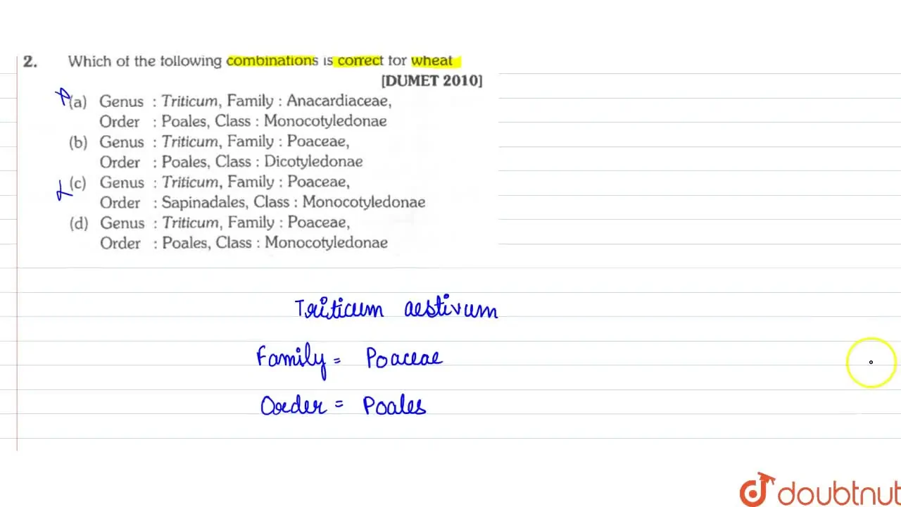 Genus Triticum, family Poaceae, order Poales, class Monocotyledonae