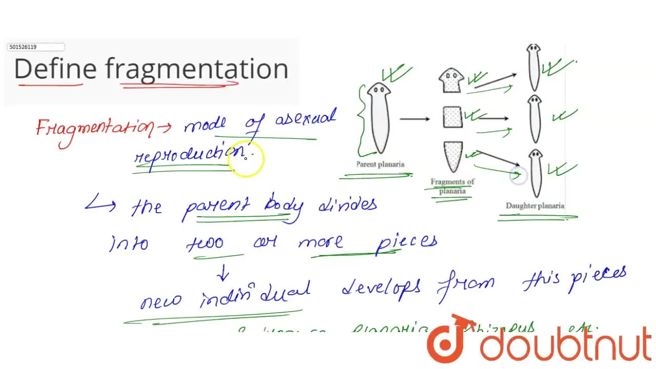 Define fragmentation