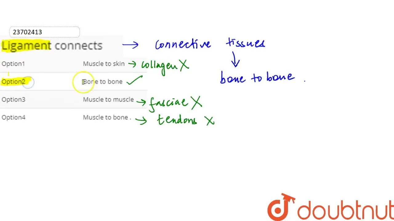ligament-connects