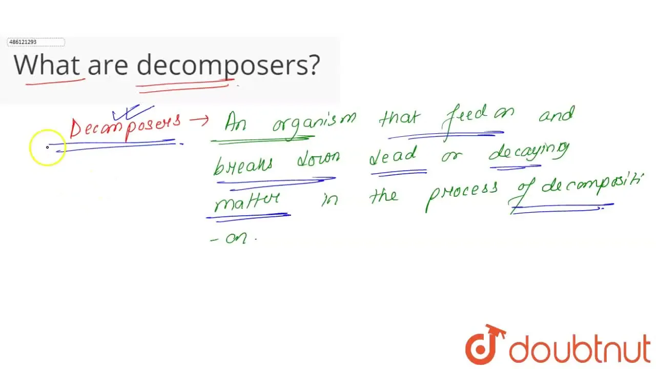 What are decomposers?