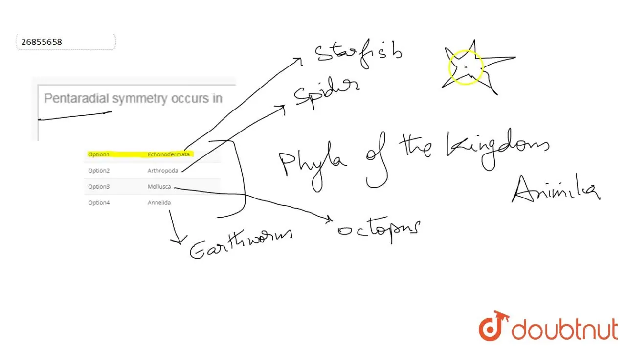 Pentaradial symmetry occurs in