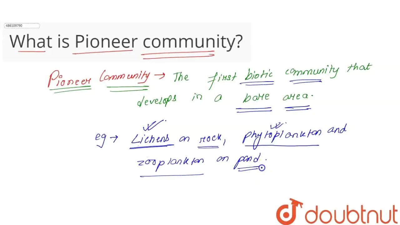 What is Pioneer community?