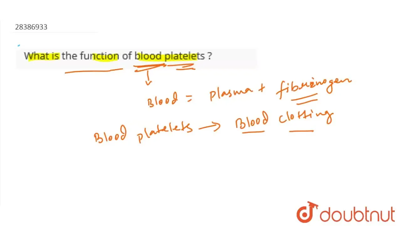 What is the function of blood platelets