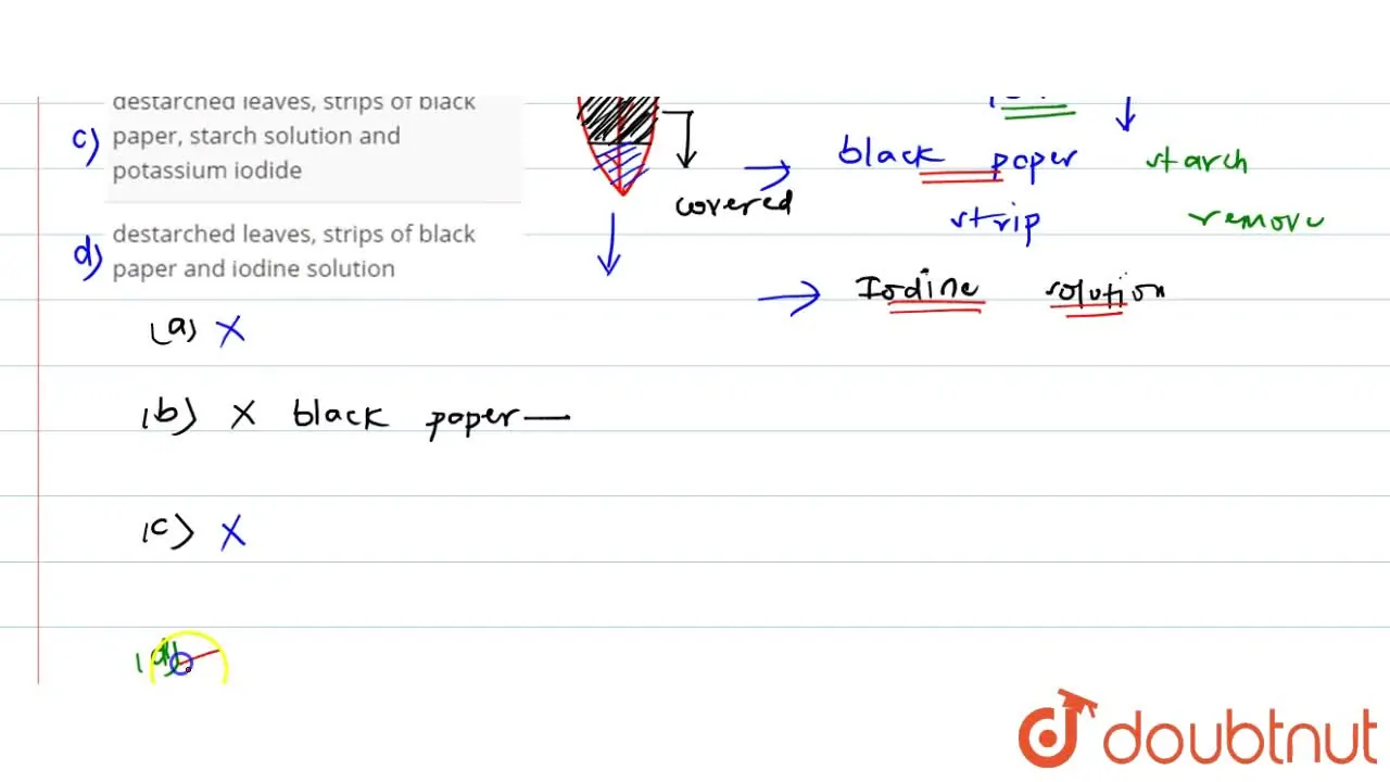 destarched leaves, strips of black paper, starch solution and potassiu