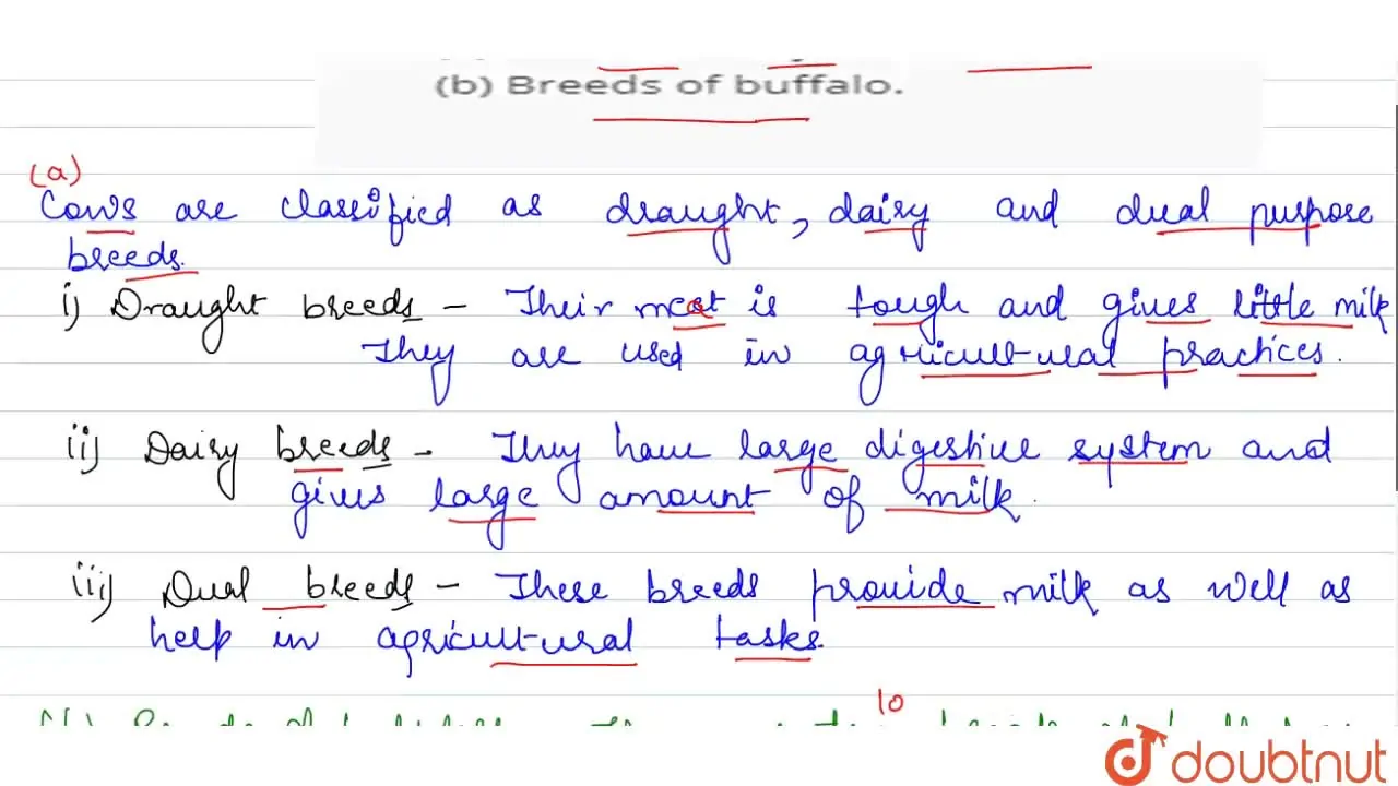 Write short notes on: (a) General utility breeds of cow (b) B