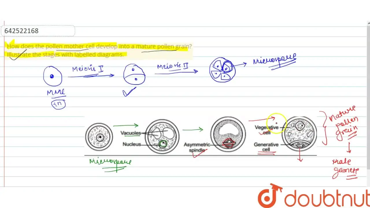 Explain the experiment performed be Griffith on Streptococcus pneumoni