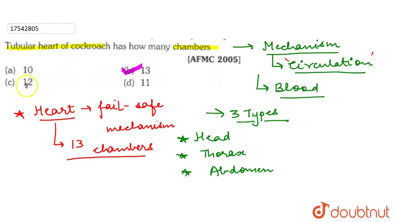 Tubular heart of cockroach has how many chambers.