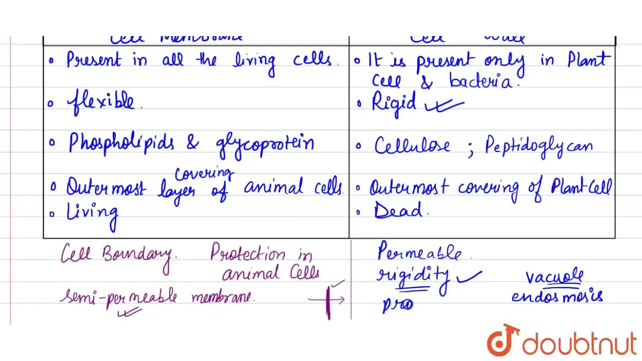 What is the difference between plasma membrane and cell wall ? Give th