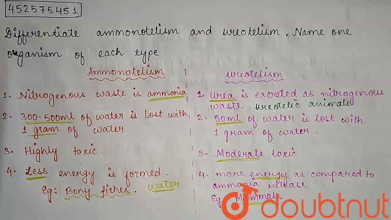 Differentiate between ammonotelism and ureotelism. Name one organism o