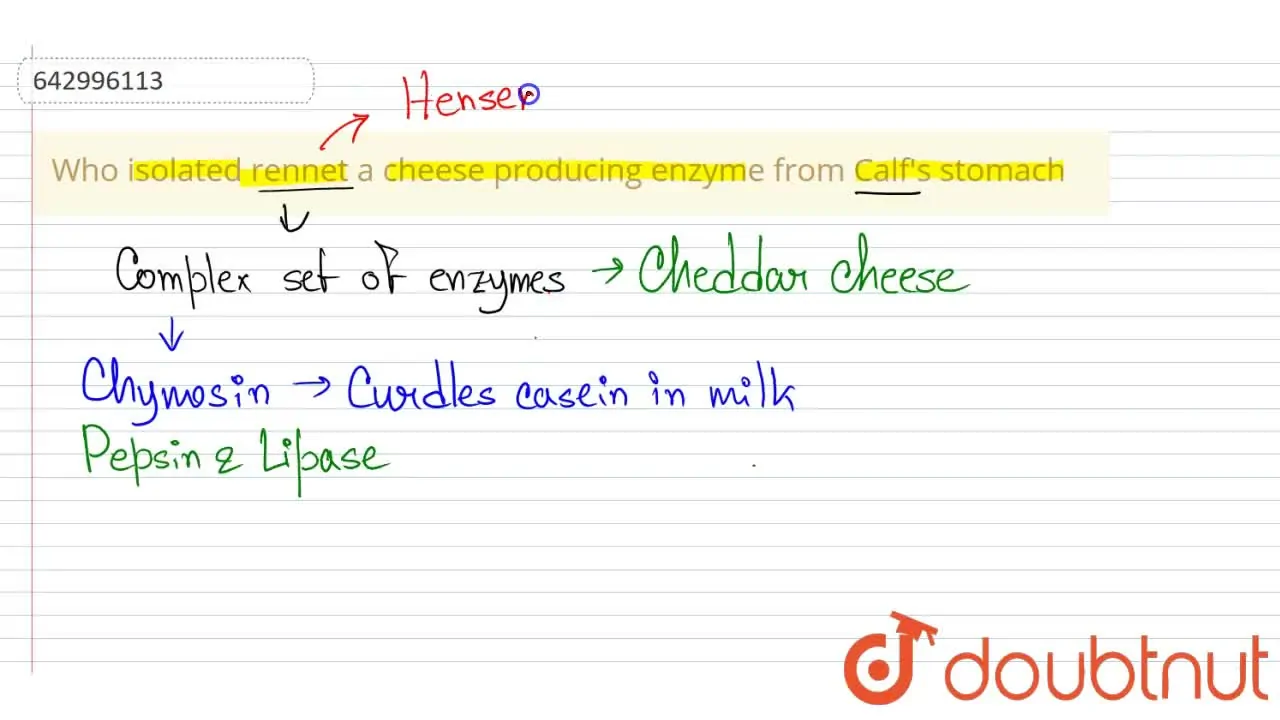 Who isolated rennet a cheese producing enzyme from Calf's stomach