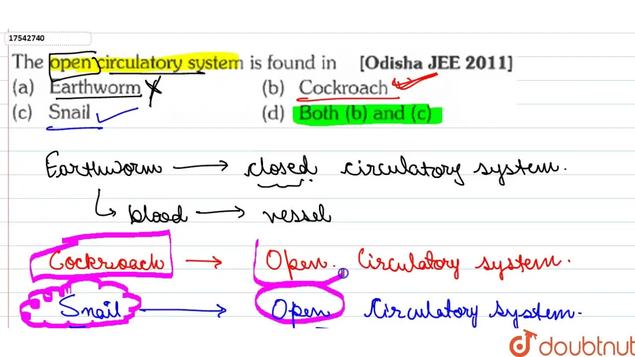 The open circulatory system is found in
