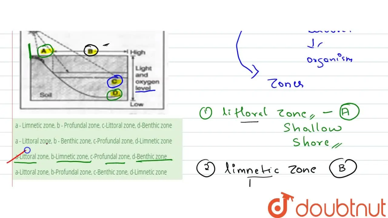 a-Littoral zone, b-Limnetic zone, c-Profundal zone, d-Benthic zone