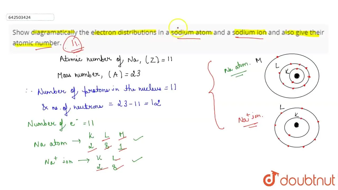 Show diagramatically the electron distributions in a sodium atom and a