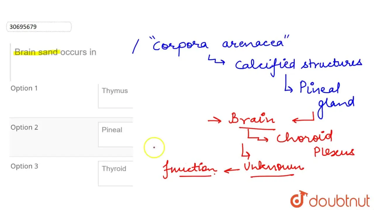 Brain sand occurs in