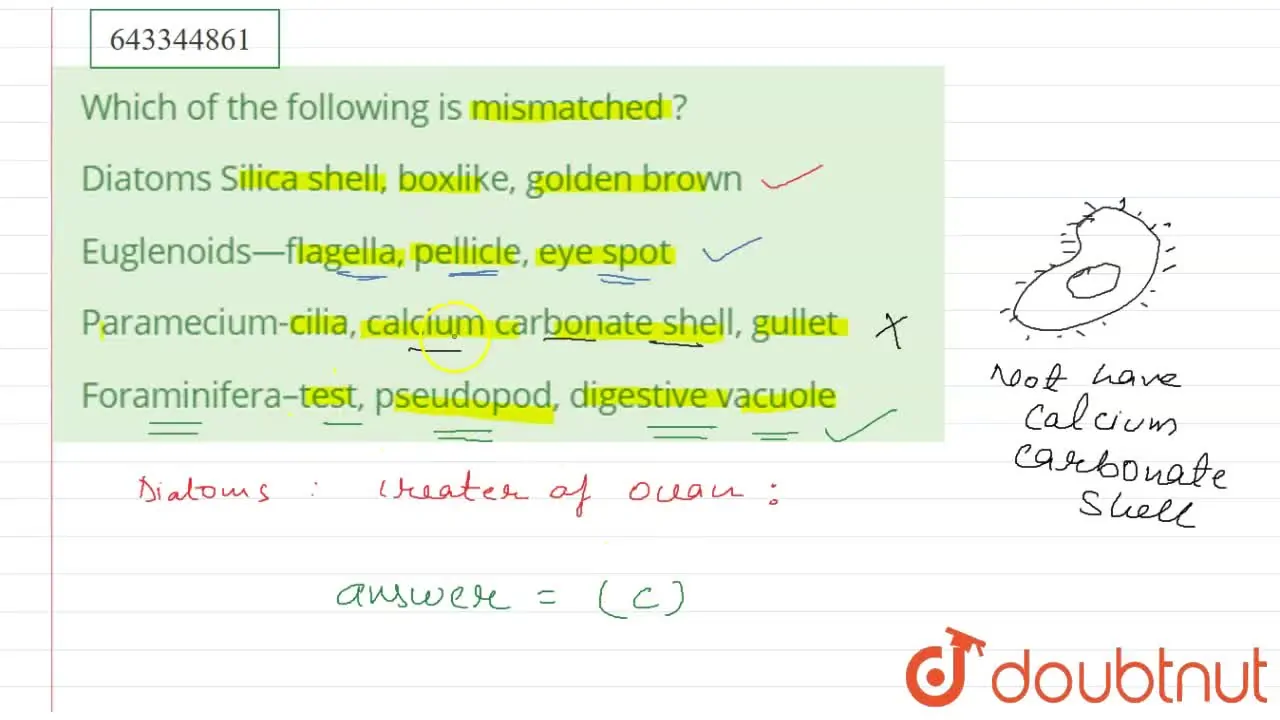 Paramecium-cilia, calcium carbonate shell, gullet