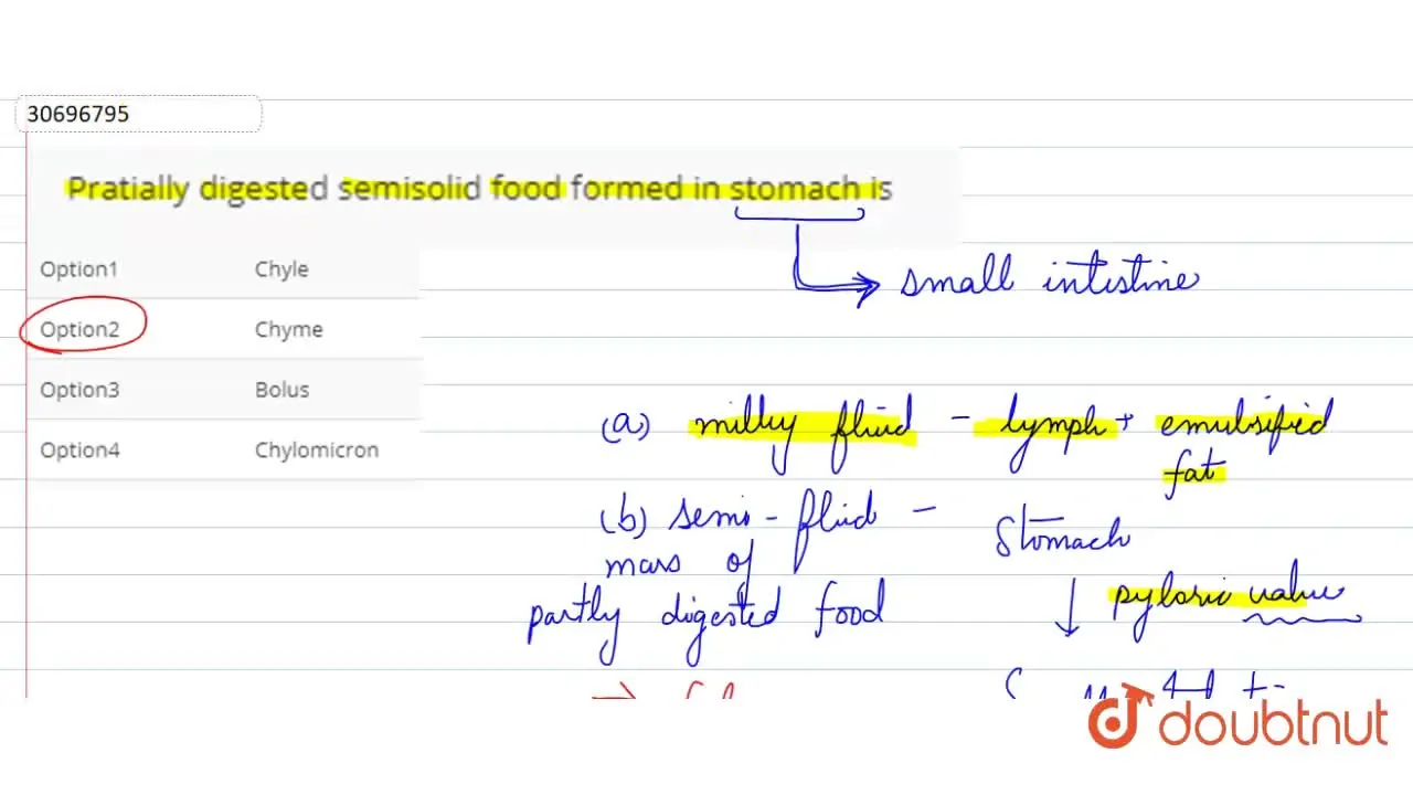 Pratially digested semisolid food formed in stomach is