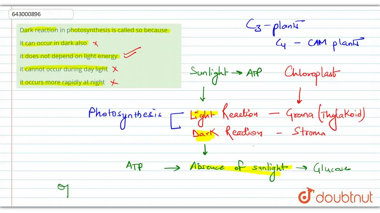 Dark reaction in photosynthesis is called so because