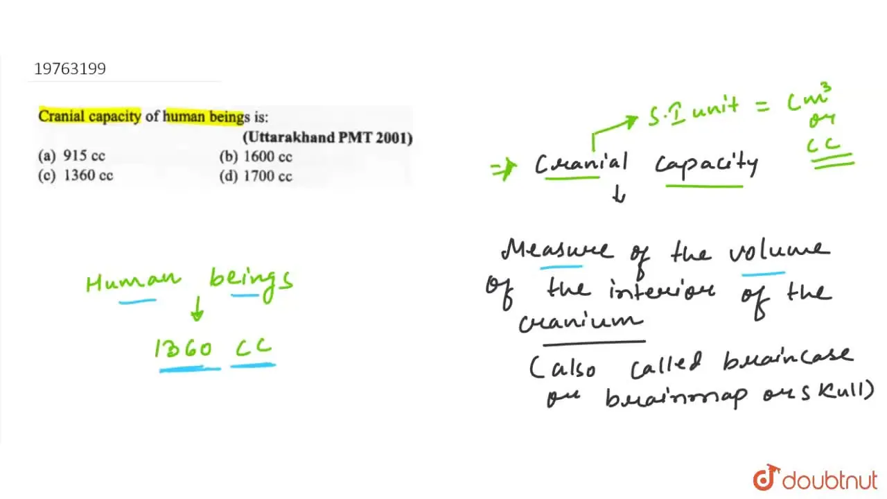 Cranial capacity of human beings is: