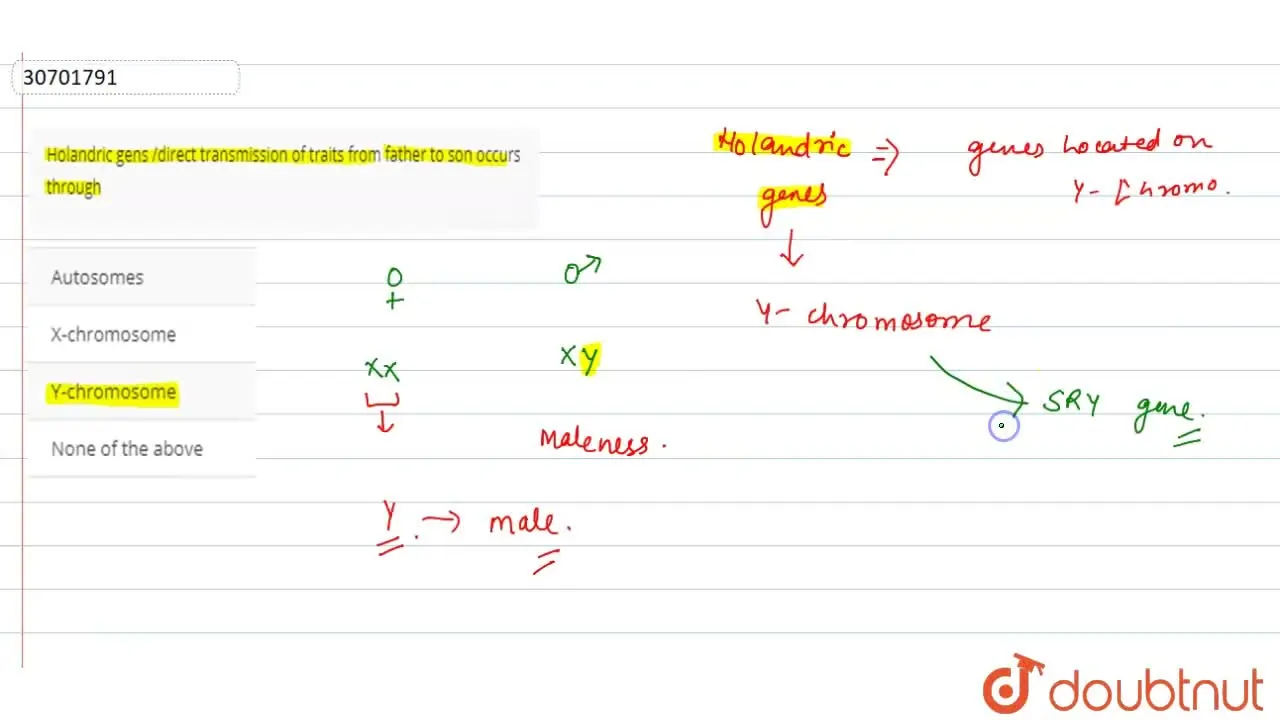 Holandric gens /direct transmission of traits from father to son occur