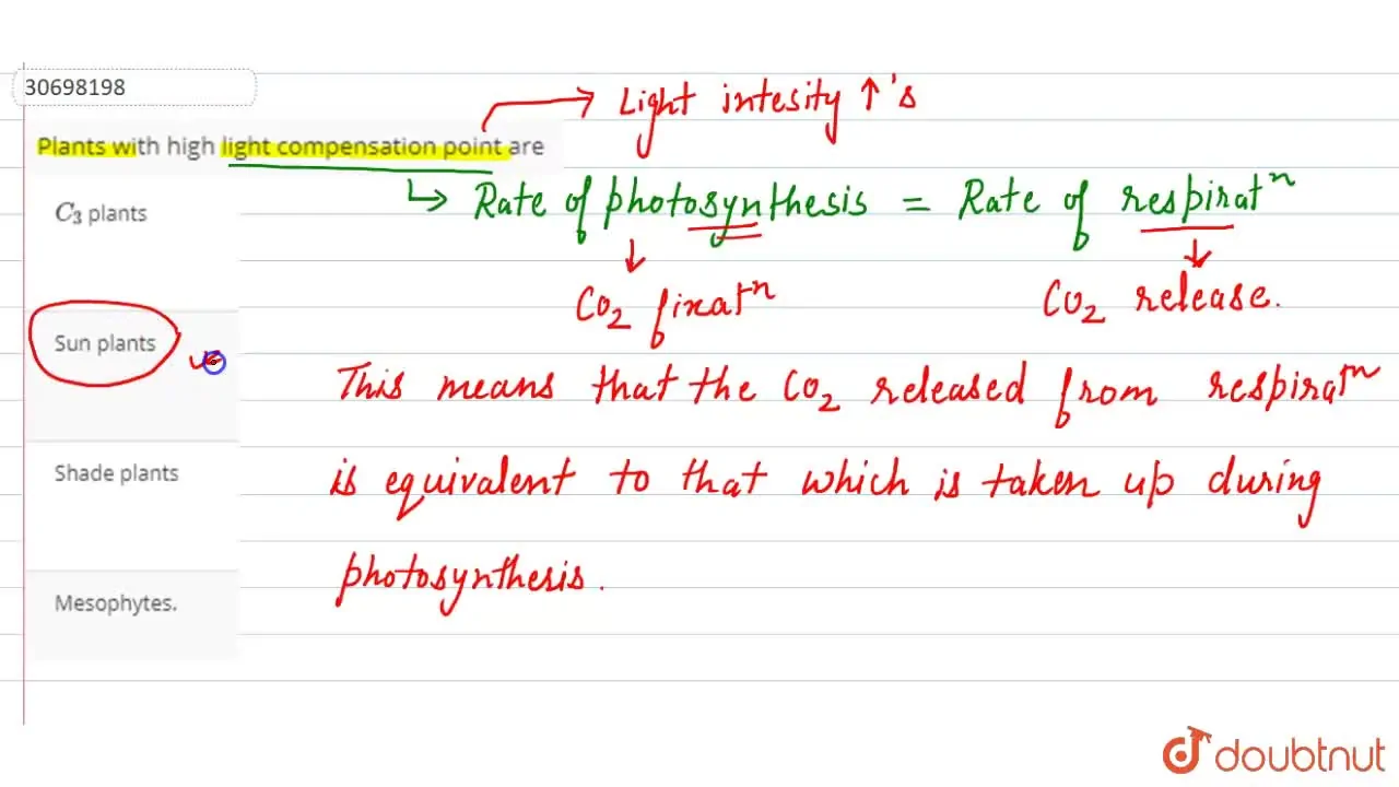 Plants with high light compensation point are