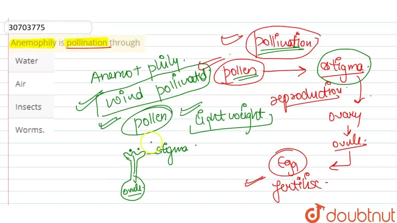 Anemophily is pollination through