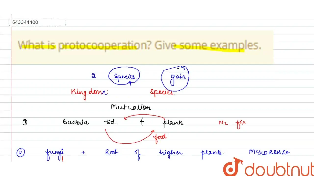 What is protocooperation? Give some examples.