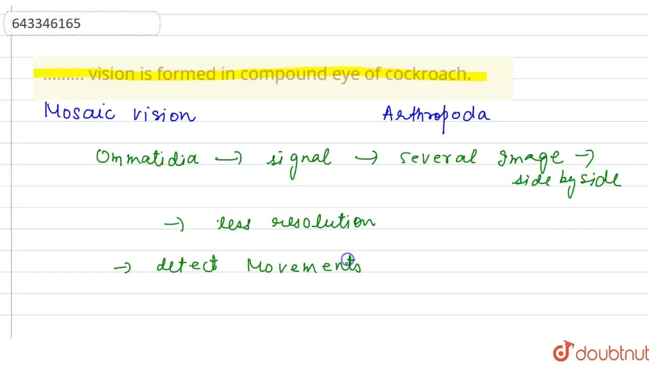 vision is formed in compound eye of cockroach.
