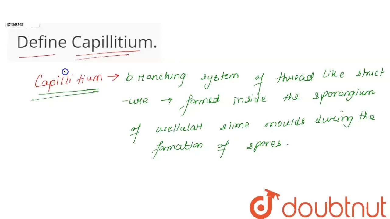 Define Capillitium.