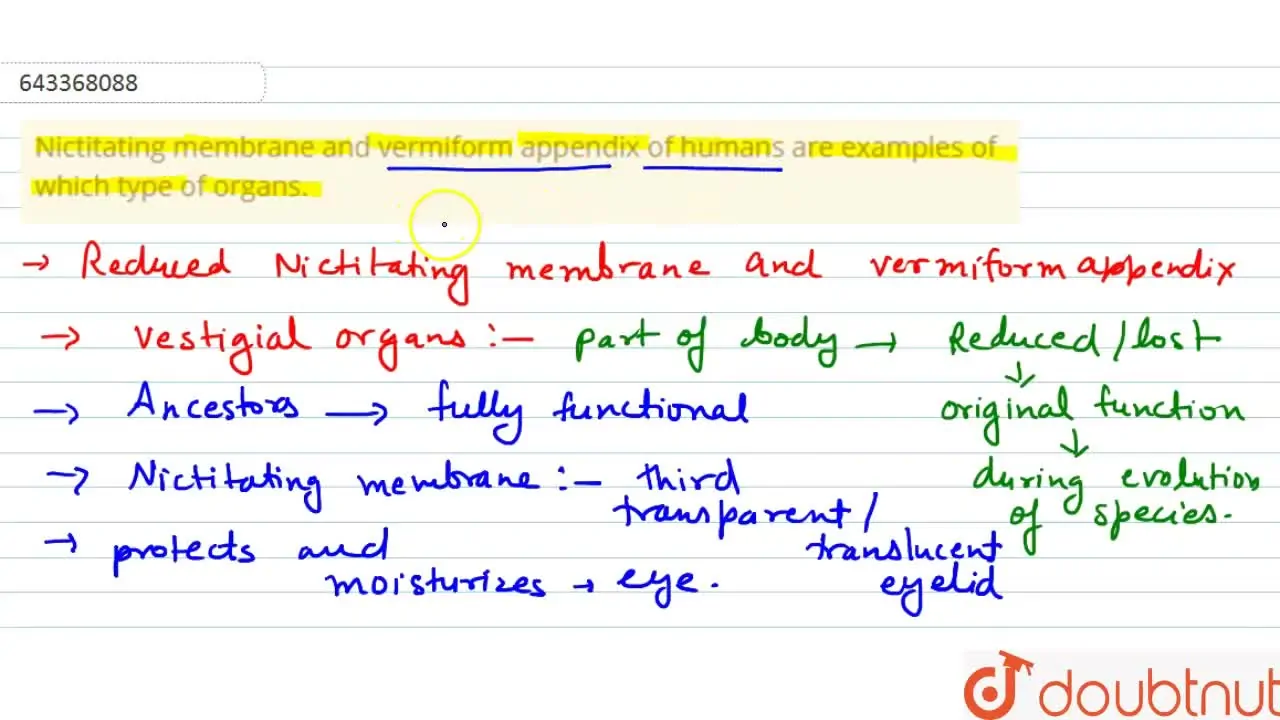 Nictitating membrane and vermiform appendix of humans are examples of