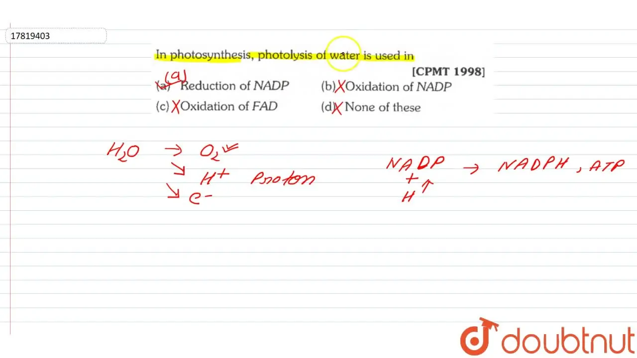 In photosynthesis, photolysis of water is used in