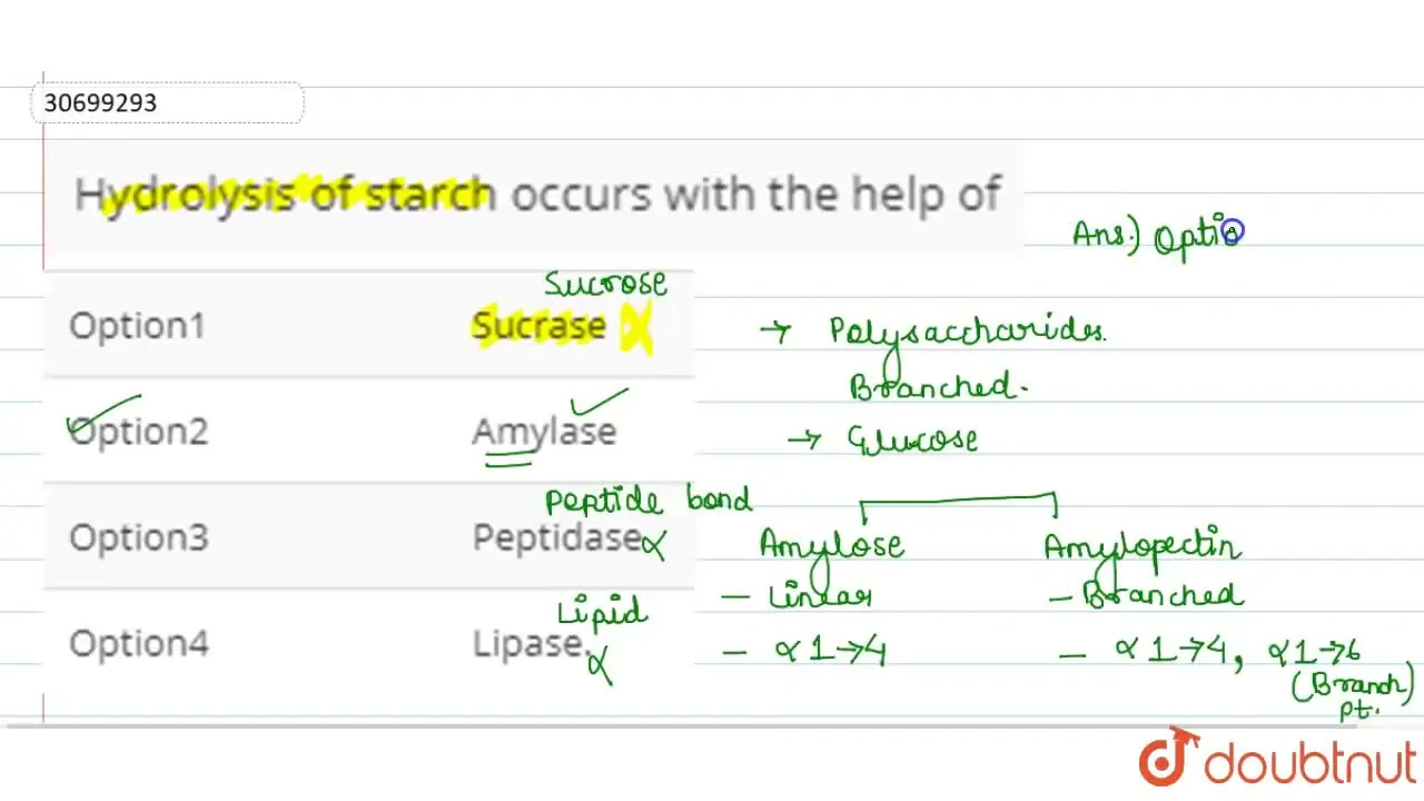 Hydrolysis of starch occurs with the help of