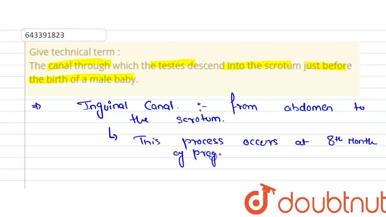 Give technical term : The canal through which the testes descend i