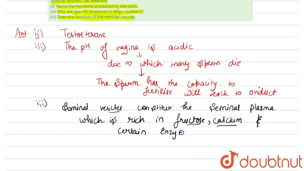 Given below is the outline of the cross-section of the male reproducti