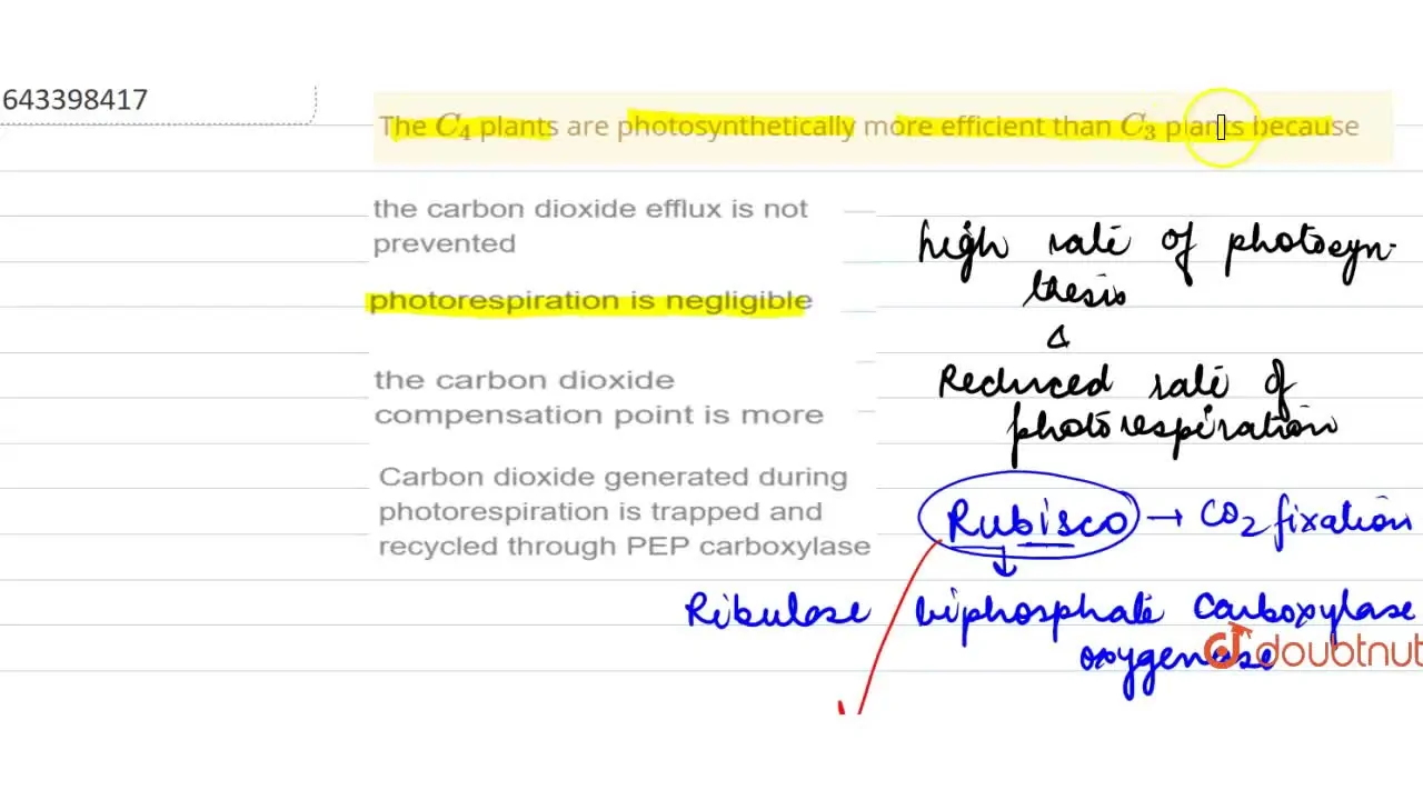 the carbon dioxide compensation point is more