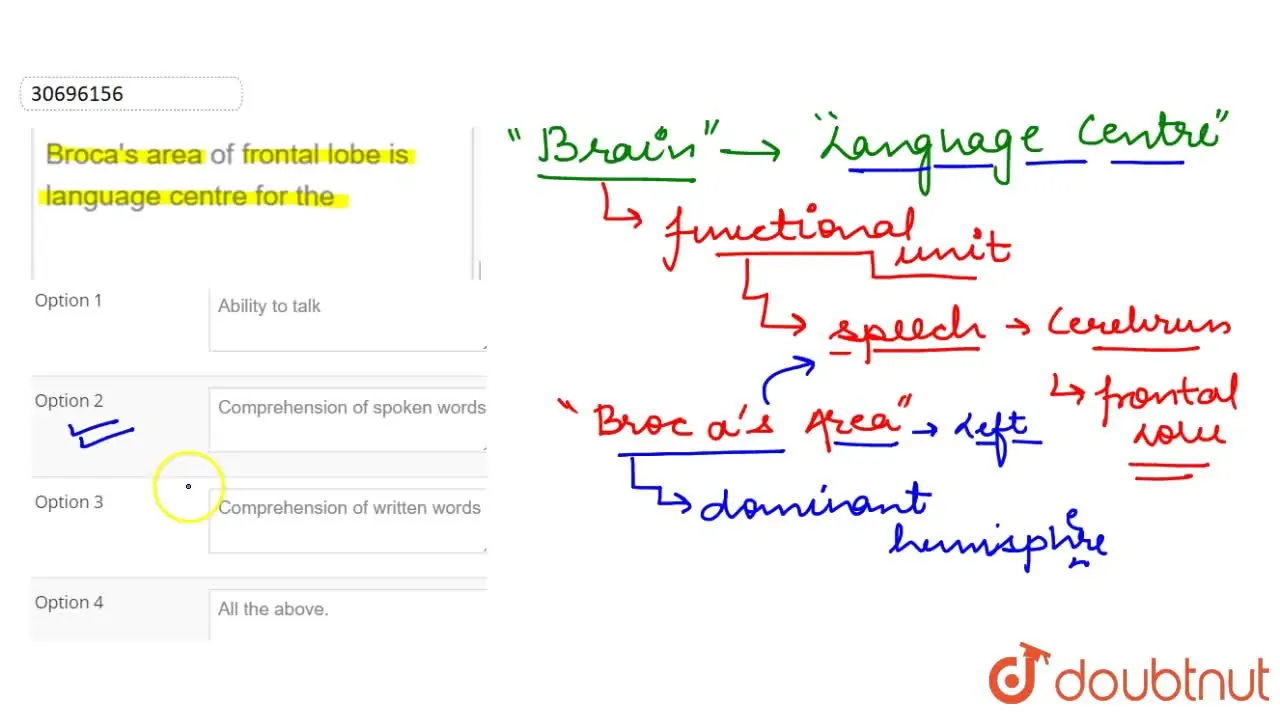Broca's area of frontal lobe is language centre for the
