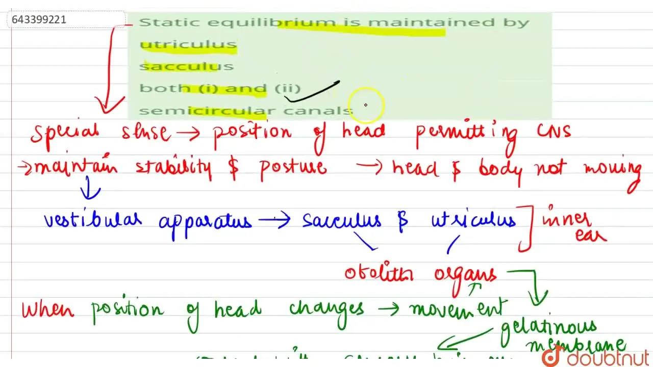 Static equilibrium is maintained by