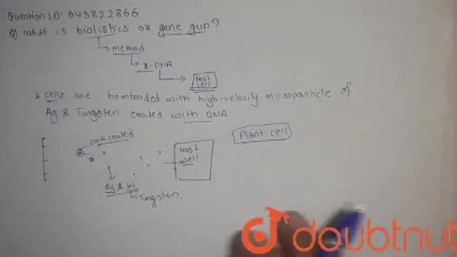 What is biolistics or gene gun?