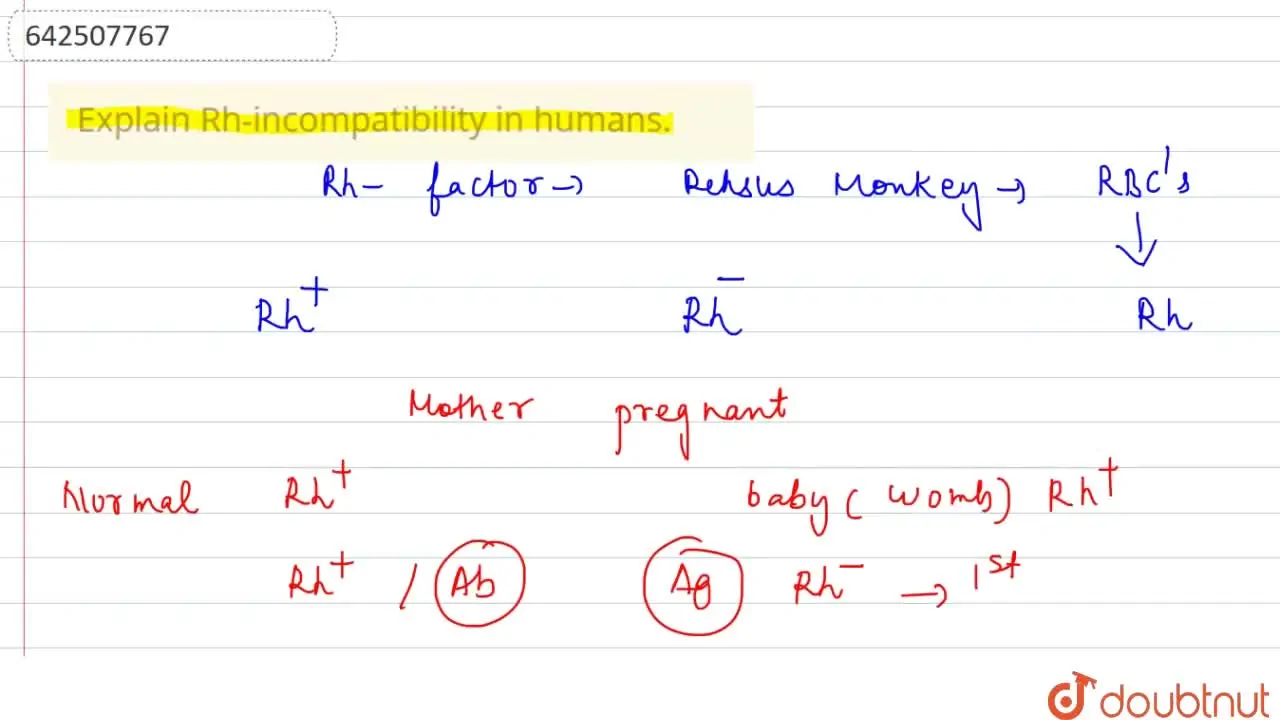Explain Rh-incompatibility in humans.