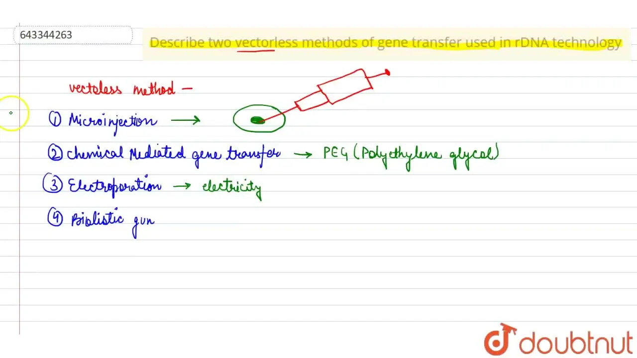 Describe two vectorless methods of gene transfer used in rDNA technolo