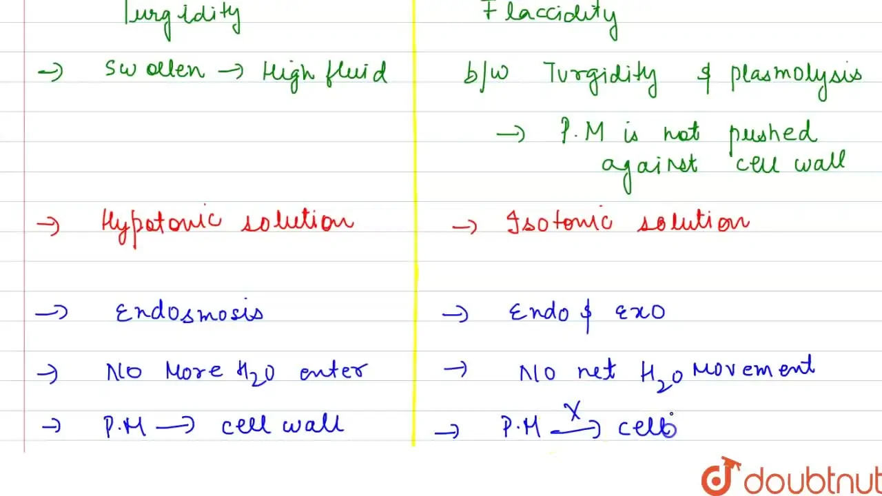 Turgidity and Flaccidity