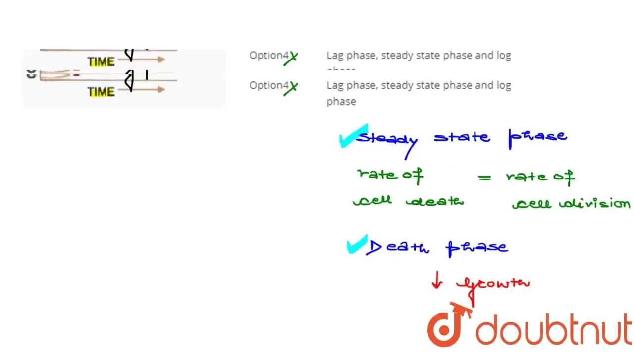 Slow growing phase, lag phase and steady state phase