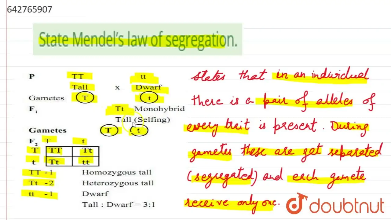 [Punjabi Solution] State Mendel’s law of segregation.