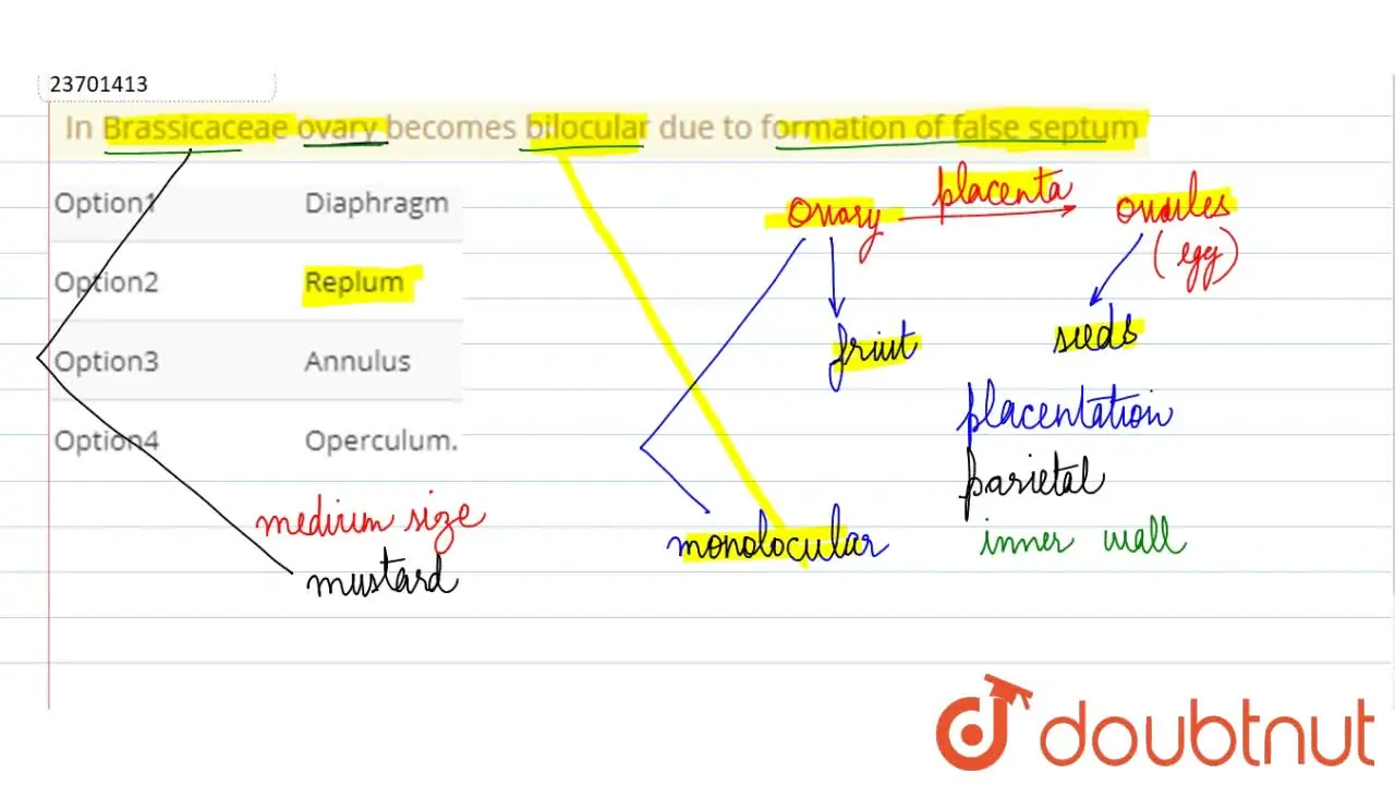 In Brassicaceae ovary becomes bilocular due to formation of false sept